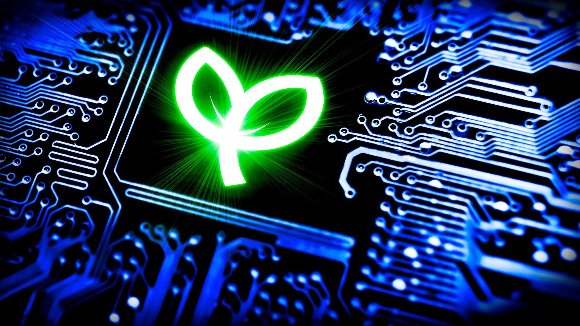 Microsoft Challenges Tech Industry to Follow Its ‘Carbon Negative ...