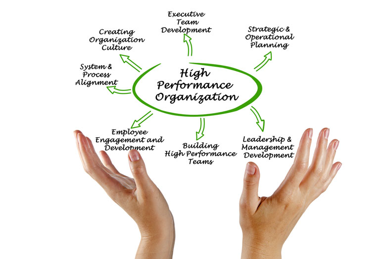 How to Build a High Performance Culture - Spiceworks