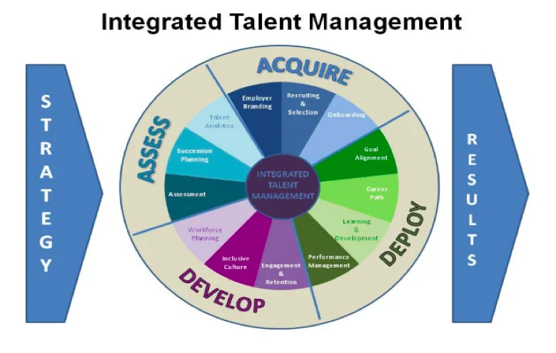 What is Talent Management? Definition, Strategy, Process - Spiceworks