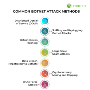 Botnet Attack Examples and Prevention