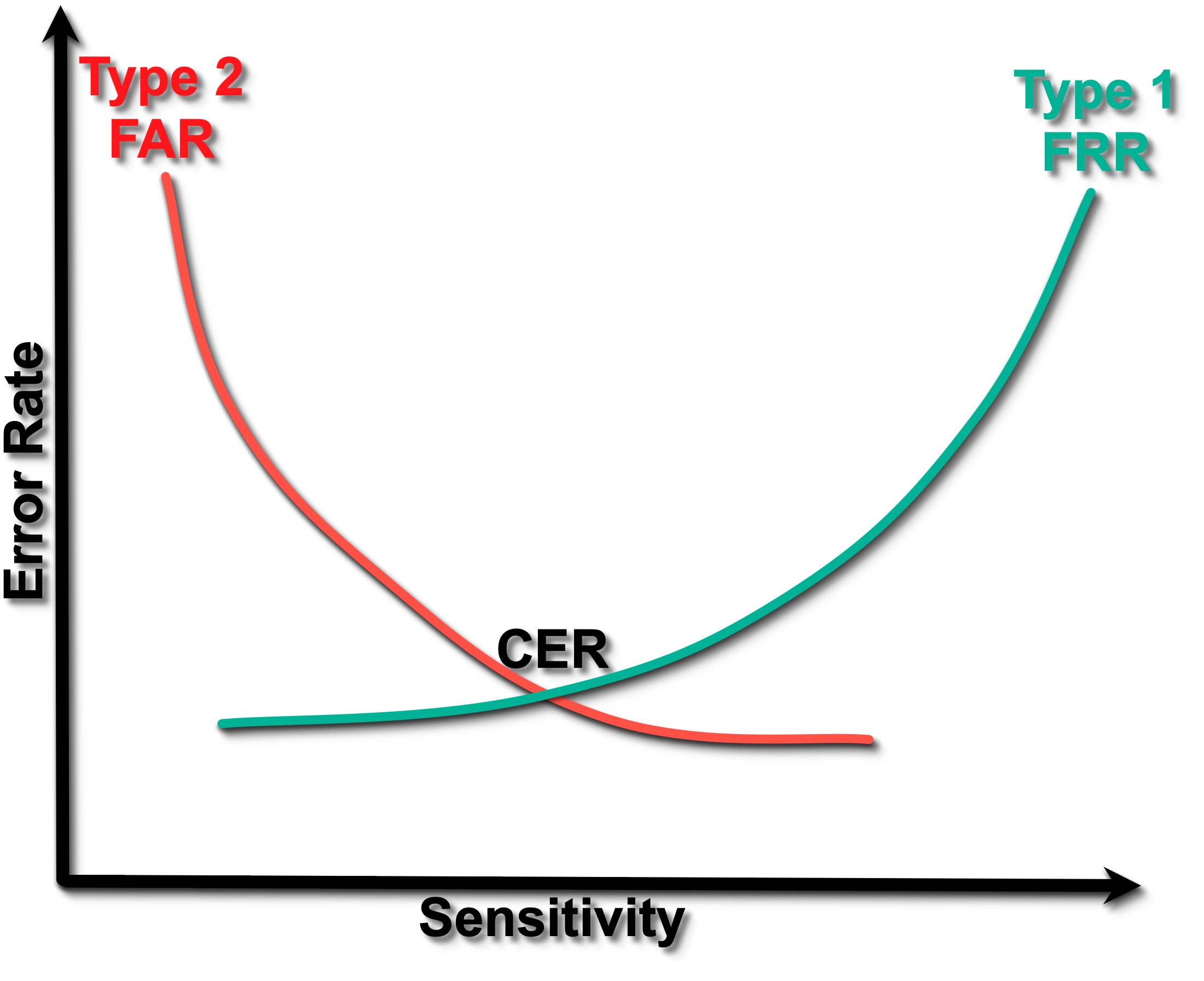 Biometrics: Why Are They Needed and Top Practical Applications - Spiceworks