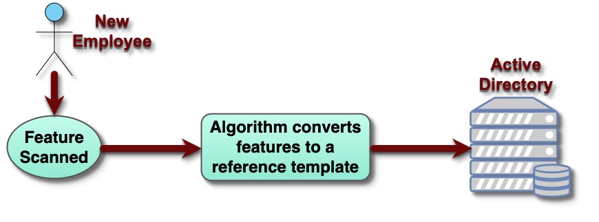 Biometrics: Why Are They Needed and Top Practical Applications - Spiceworks