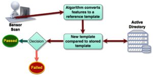 Biometrics: Why Are They Needed and Top Practical Applications - Spiceworks