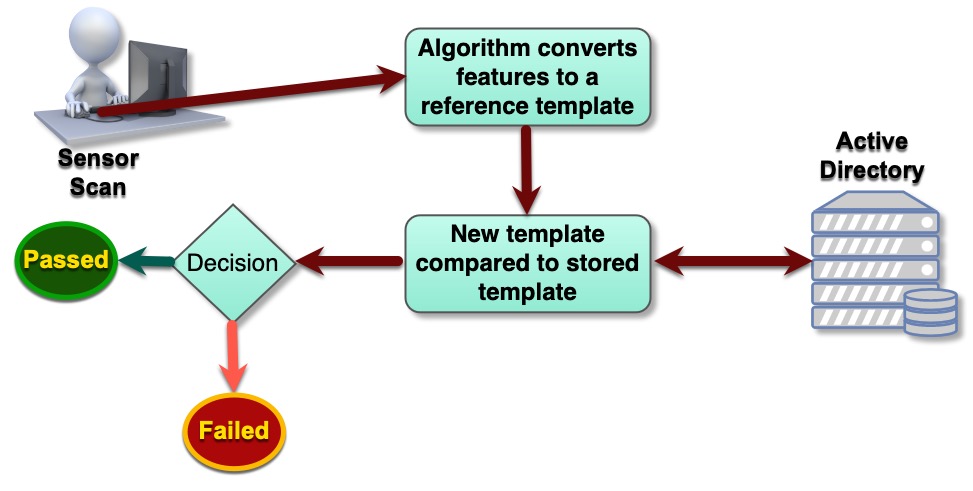 Biometrics: Why Are They Needed and Top Practical Applications - Spiceworks