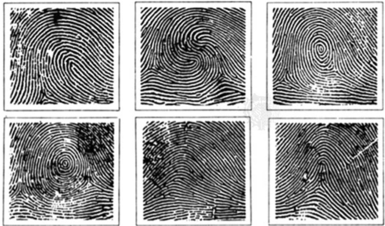 Biometrics: Why Are They Needed and Top Practical Applications - Spiceworks