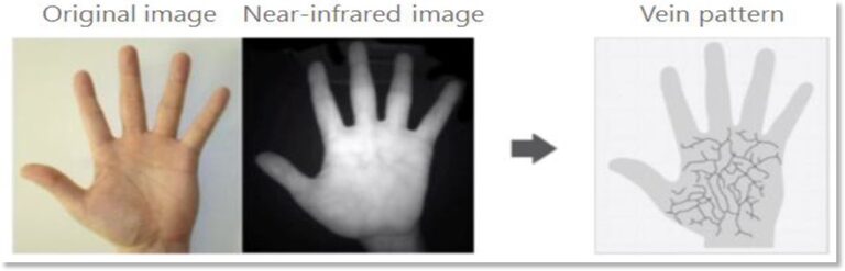 Biometrics: Why Are They Needed and Top Practical Applications - Spiceworks